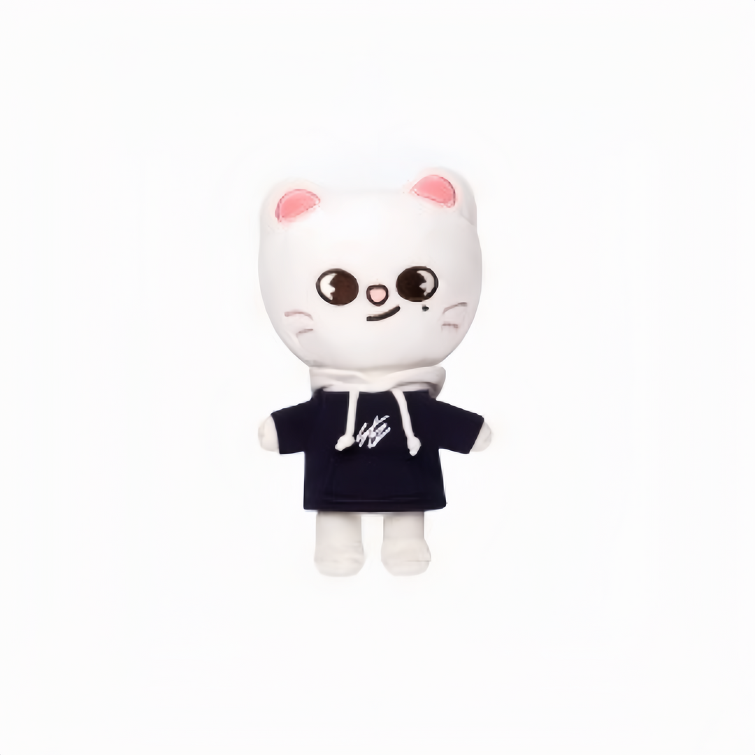 STRAY KIDS SKZ'S MAGIC SCHOOL MD - [SKZOO PLUSH MINI] – EVE PINK K-POP